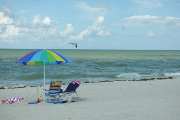 Lee County to close all county-owned beaches Thursday - Cape Coral Breeze